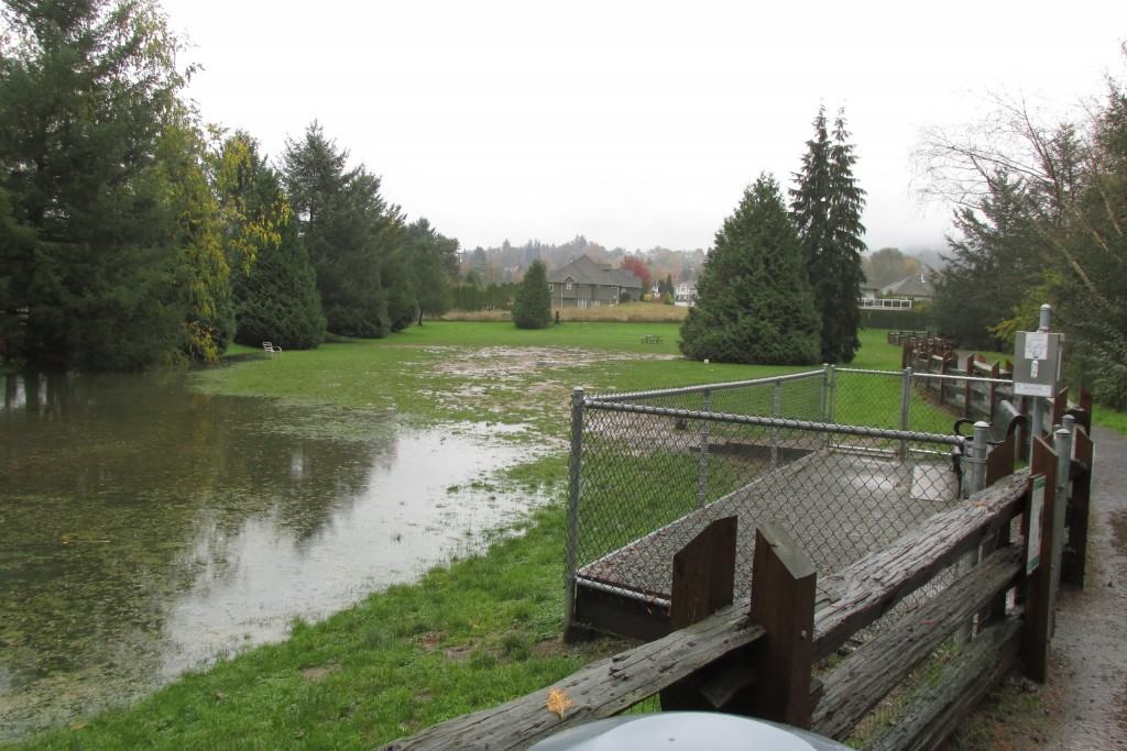 Bateman Park | petmapz by Dr. Katz, Your veterinarian endorsed pet ...