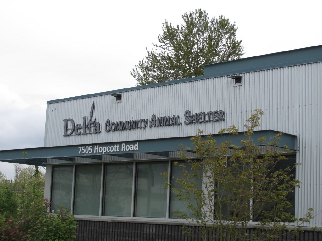 DCAS - Delta Community Animal Shelter | petmapz by Dr. Katz, Your ...